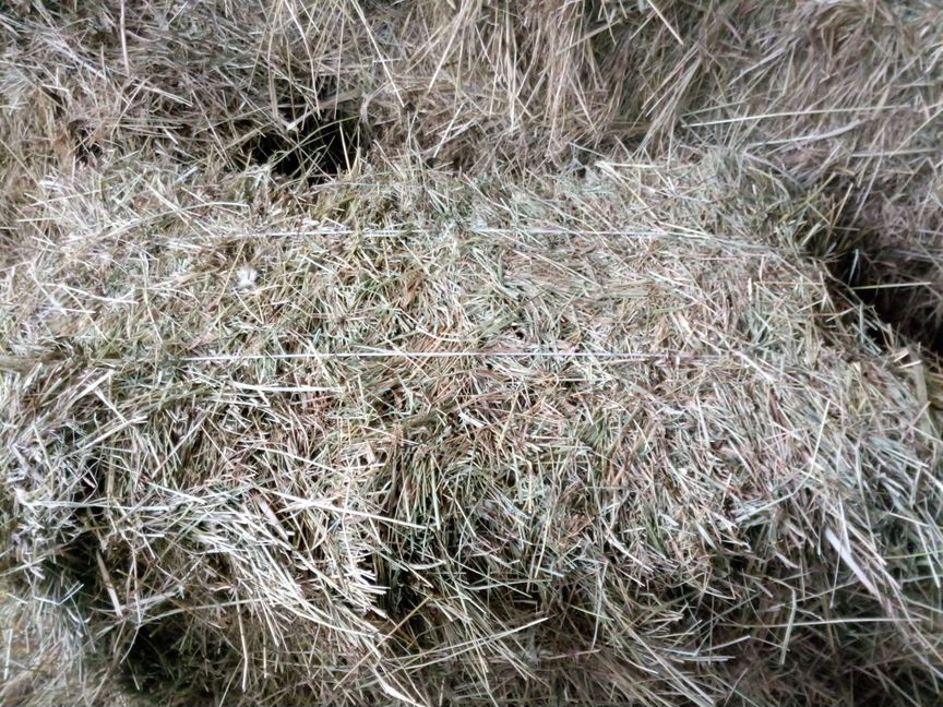 Сено в кипах