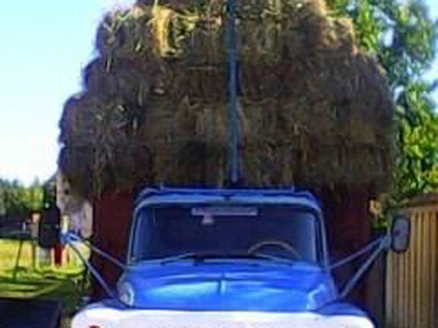 Сено в тюках