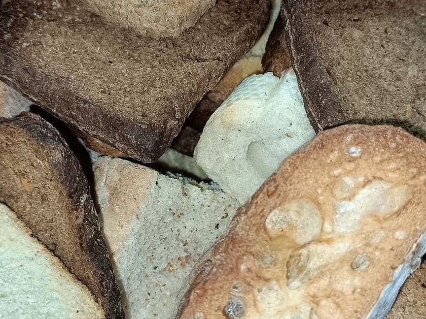 Сухари для животных