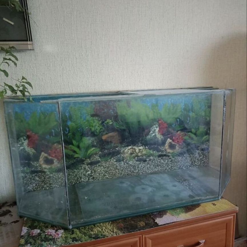 Обменяю аквариум на объем поменьше