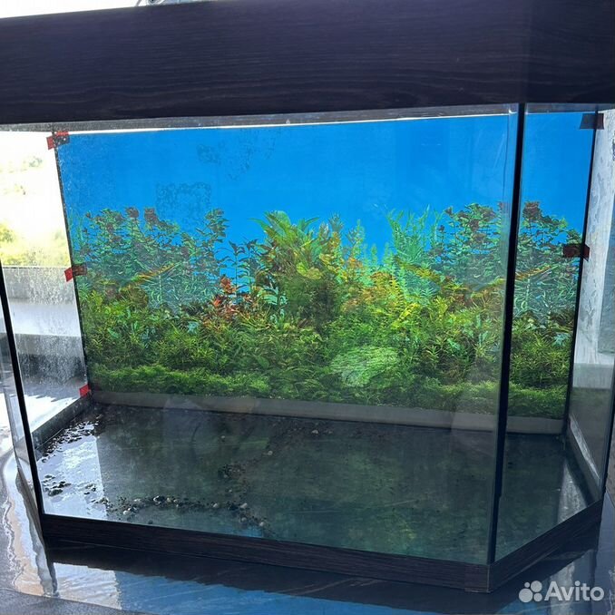 Аквариум 110л