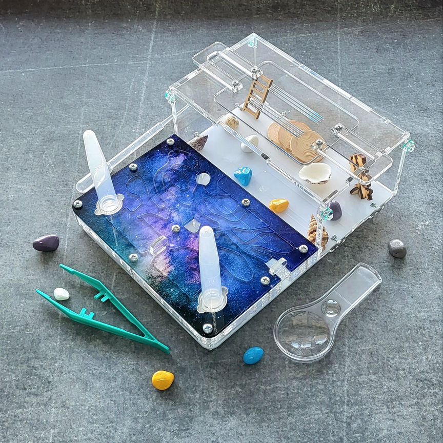 Муравьиная ферма с муравьями