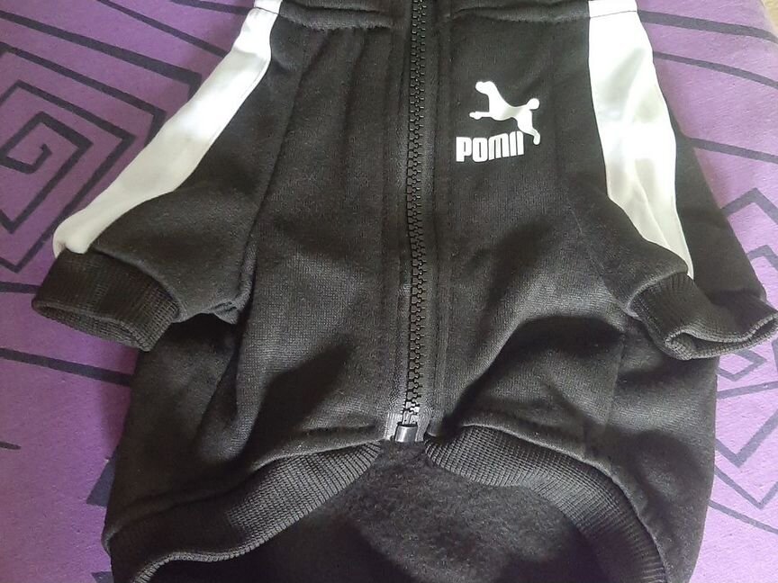 Одежда для маленькой собачки