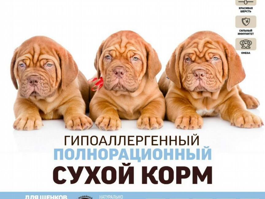 Корм для кошек и собак