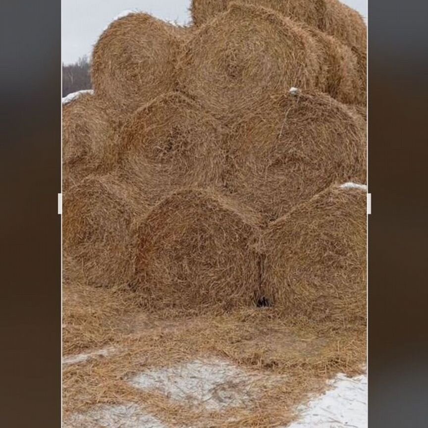 Солома в рулонах
