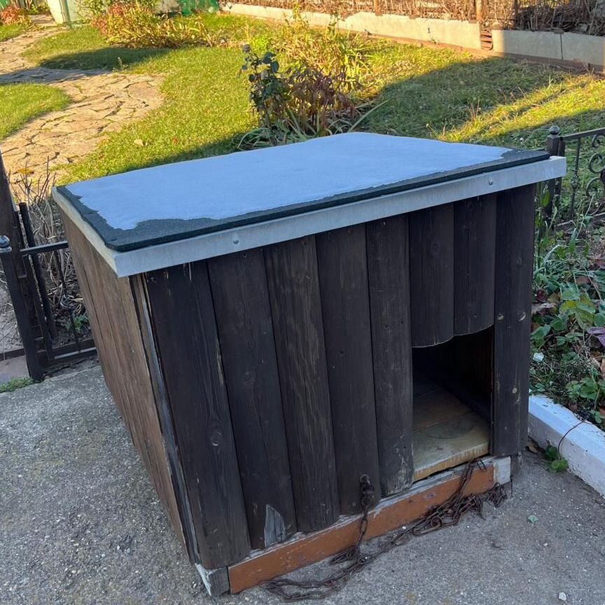 Собачья будка