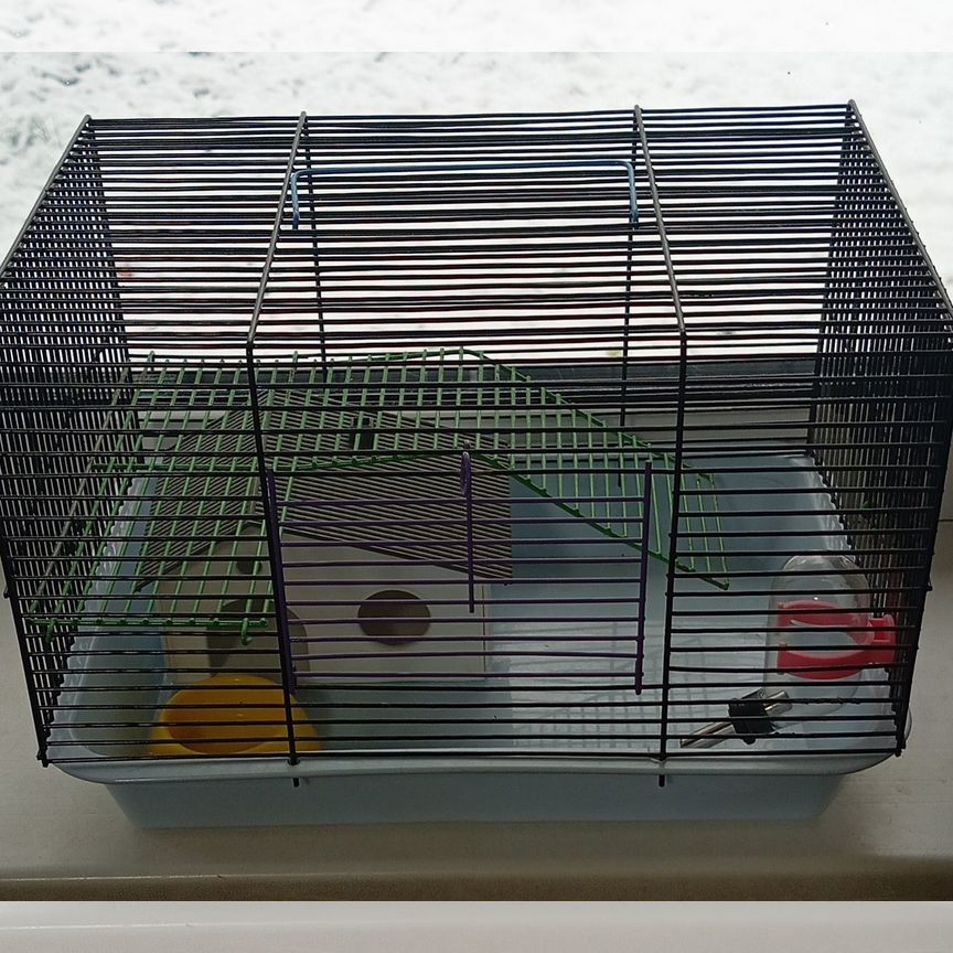 Маленькая клетка для хомячка