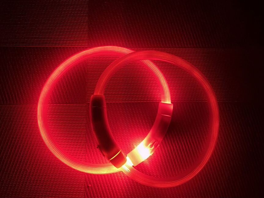 Ошейник для собак