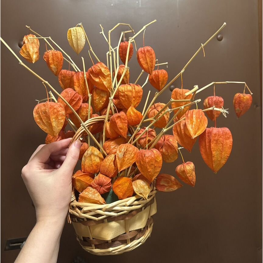 Осенняя композиция (физалис)