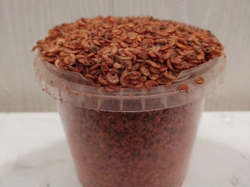 Гаммарус сушёный