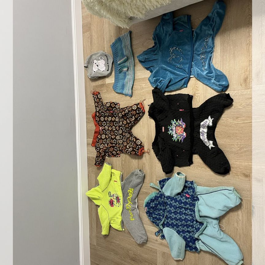 Одежда для собак