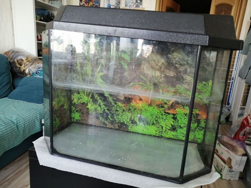 Аквариум 55 литров