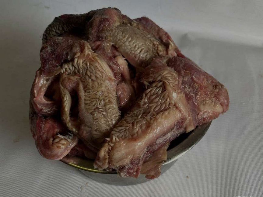 Подъязычка. Мясо собакам. Корм