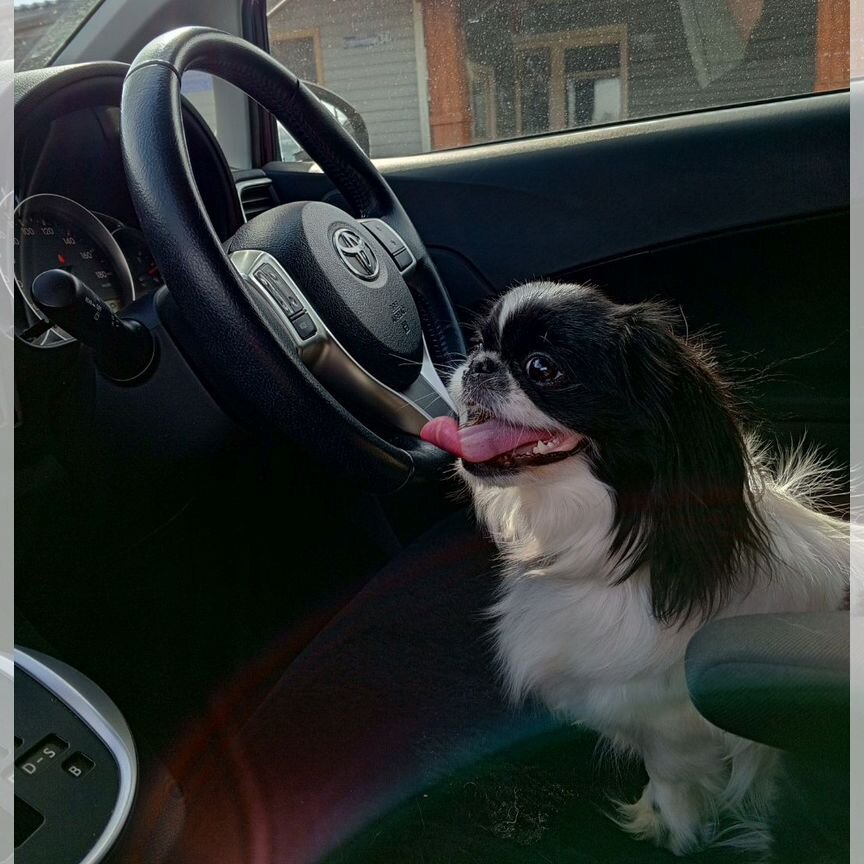 Требуется кабель для случки