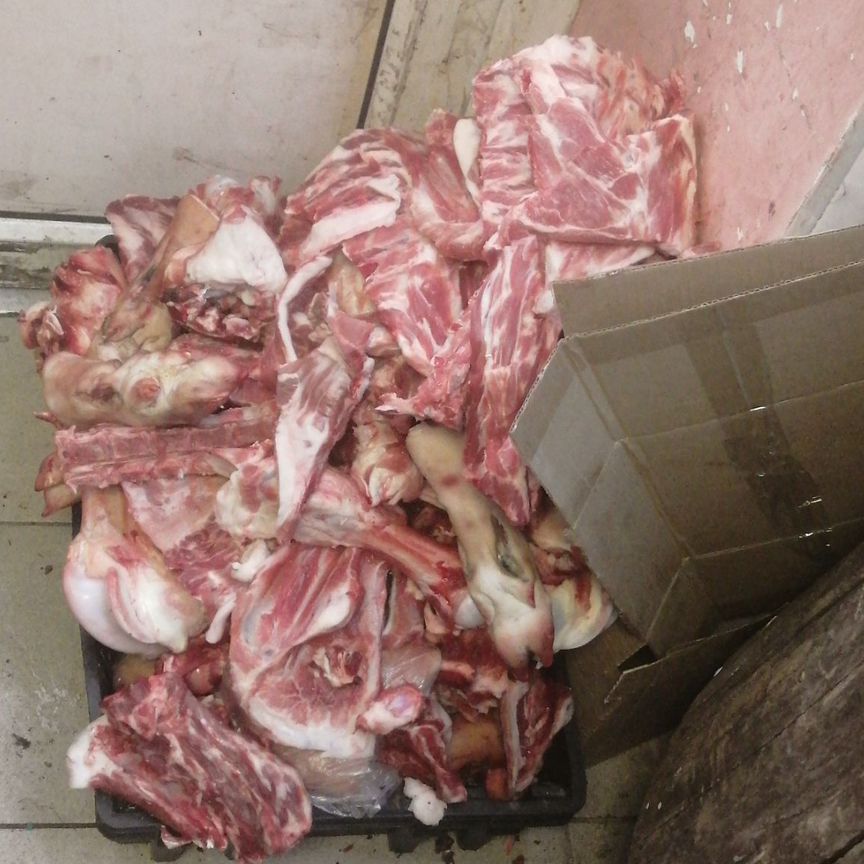 Кости для собак бесплатно