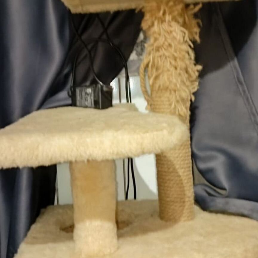 Когтеточка, бесплатно