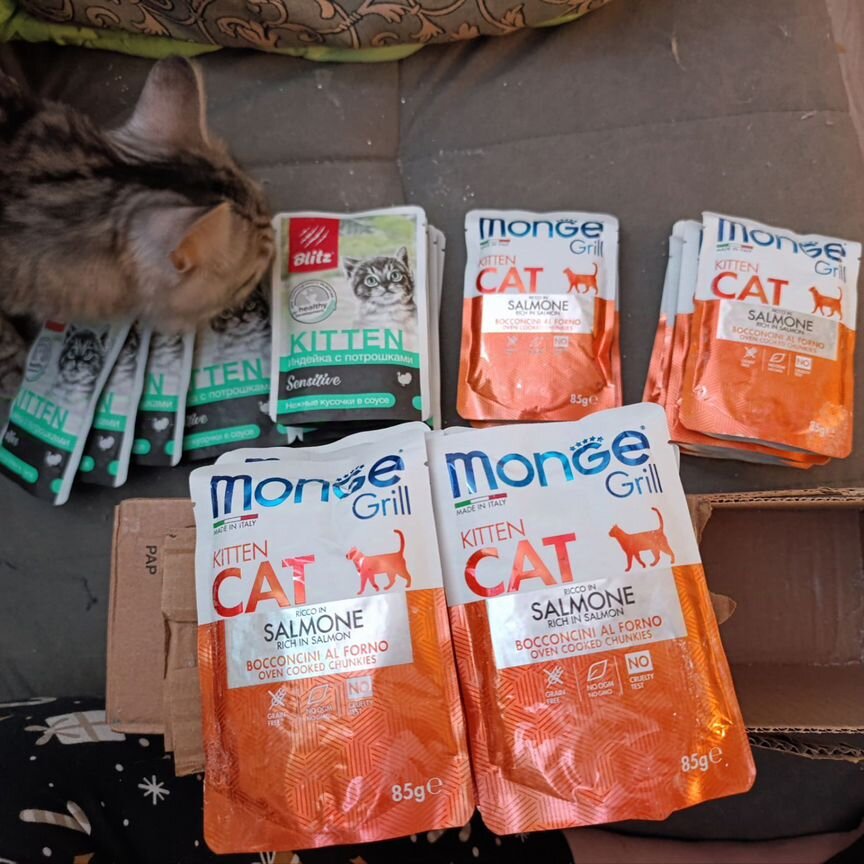 Корм для котят (паучи) monge/blitz