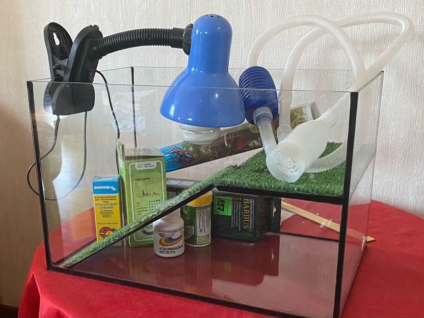 Террариум для красноухой черепахи