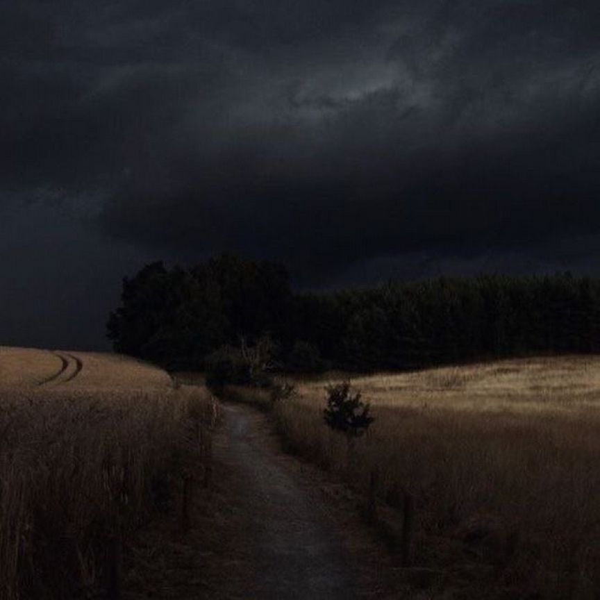 Солома в рулонах