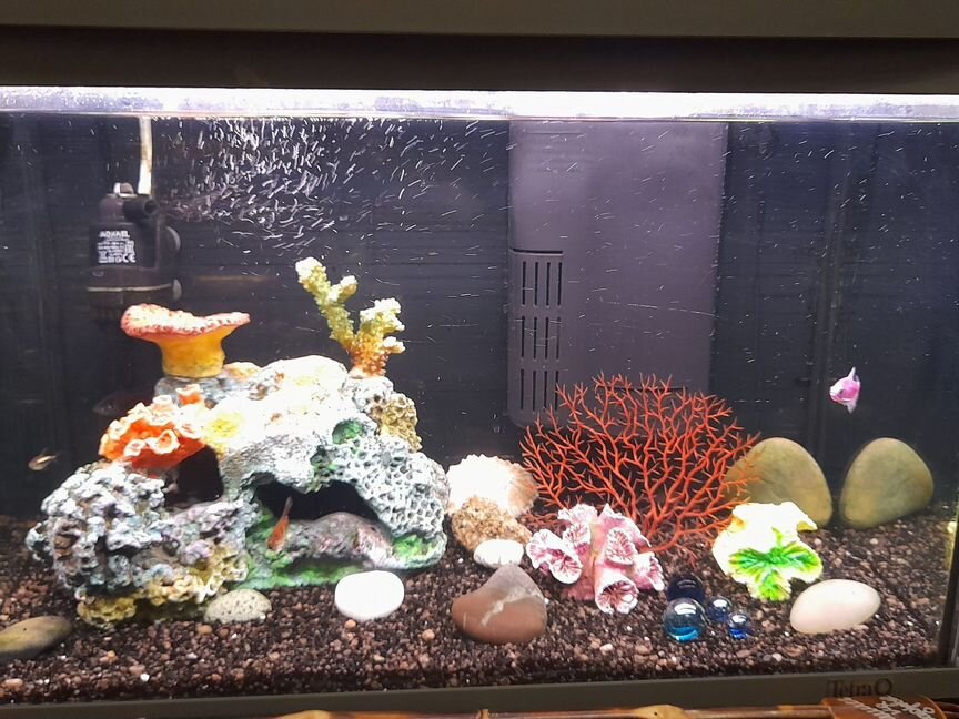 Аквариум Тетра 60литров со всем содержимым