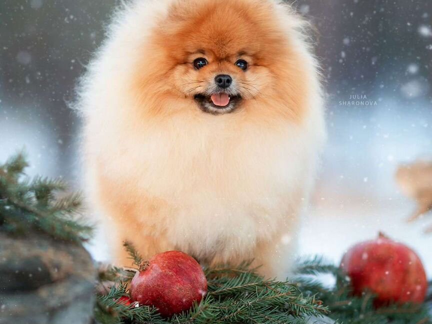 Взрослые девочки