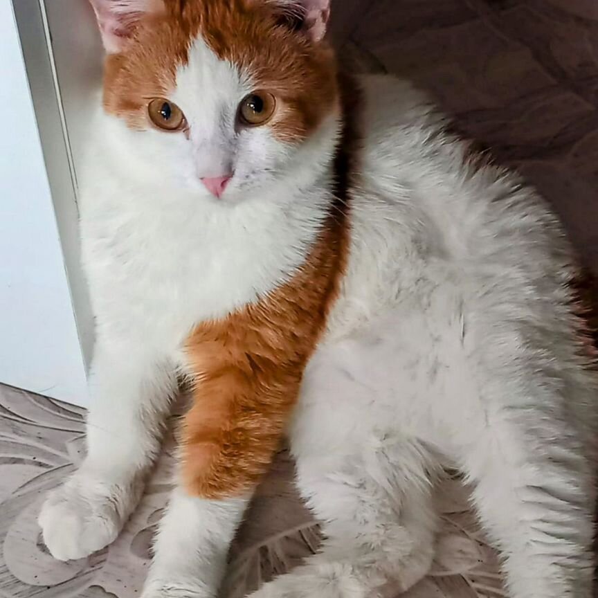 Шикарный мальчик