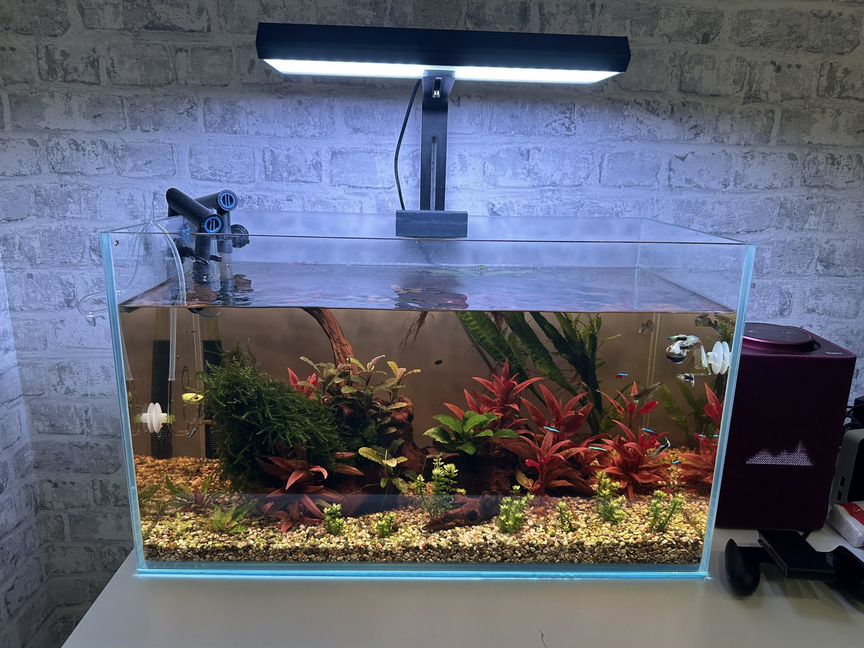 Аквариум 60 л с топовым оборудованием