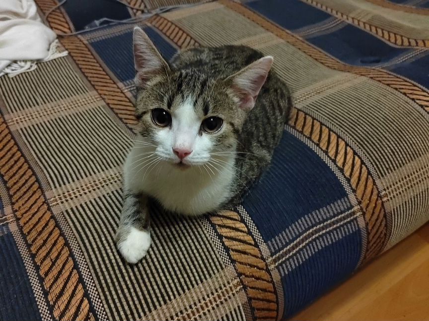 Европейская