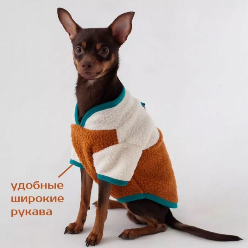 Толстовка для собак и кошек