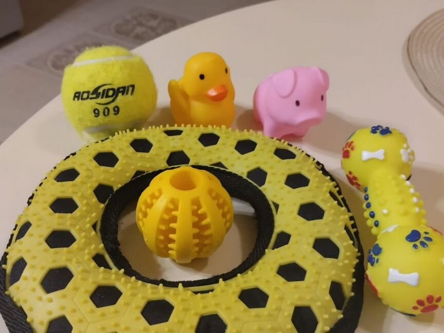 Грызунки для собак