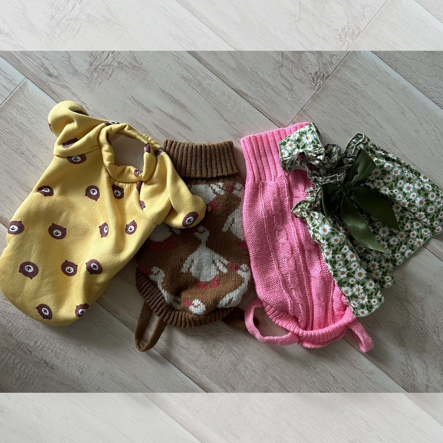 Одежда для собак мелких пород