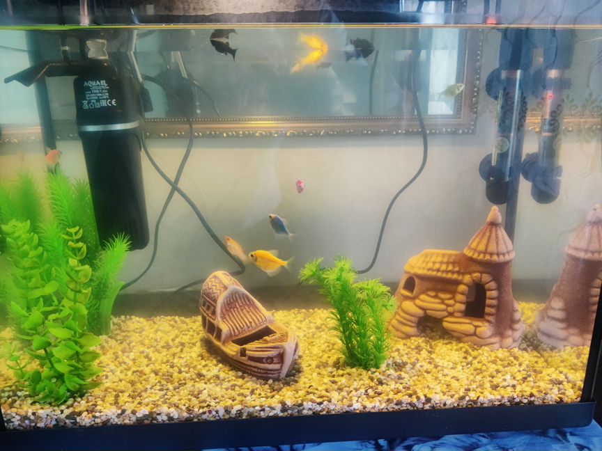 Аквариум с рыбками