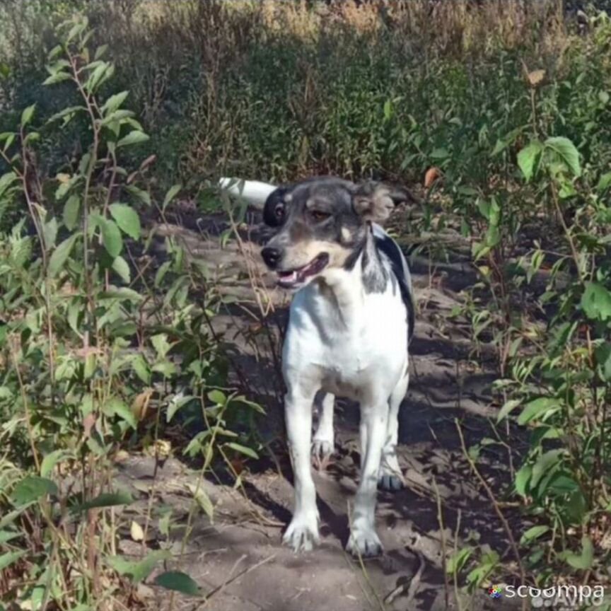 Майя ждет семью