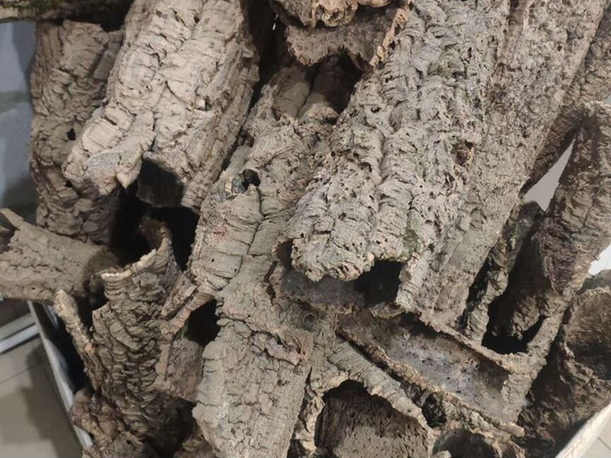 Кора пробковый дуб