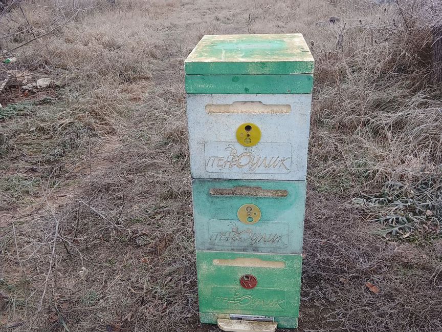 Улей для пчел бу