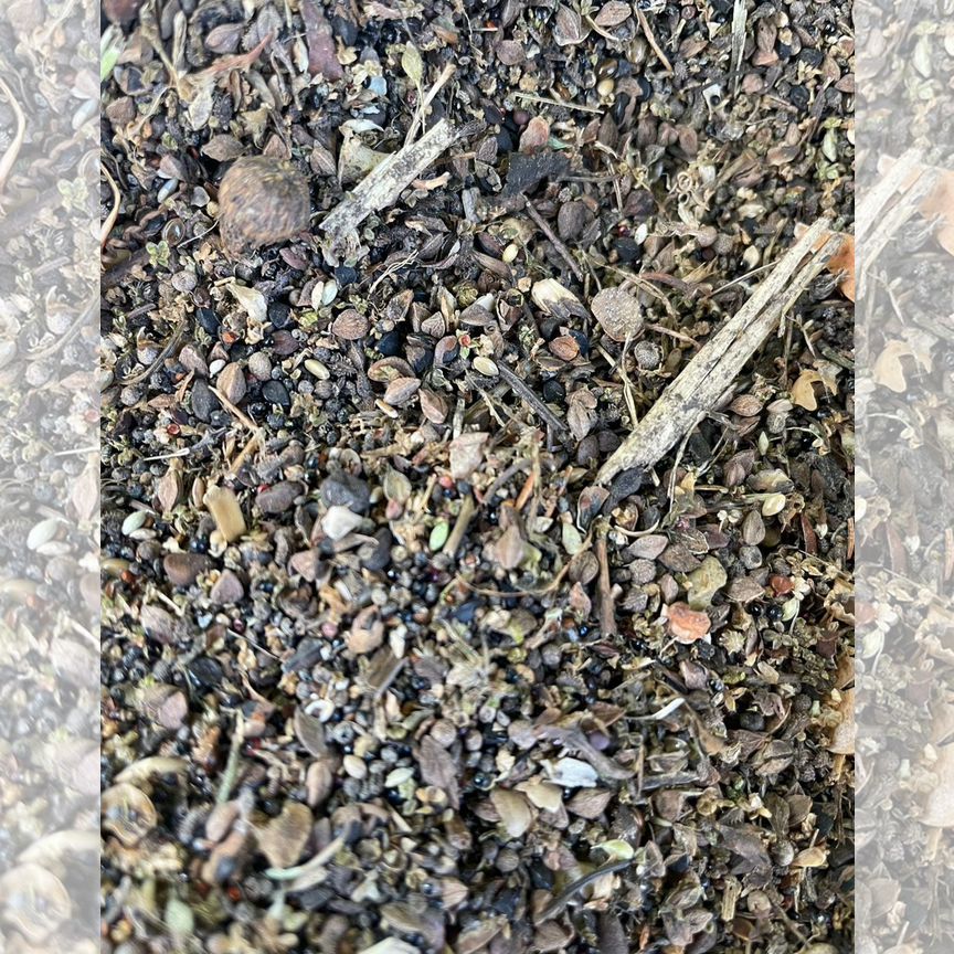 Зерноотходы гороховые,ячменя, овсяные, шелуха