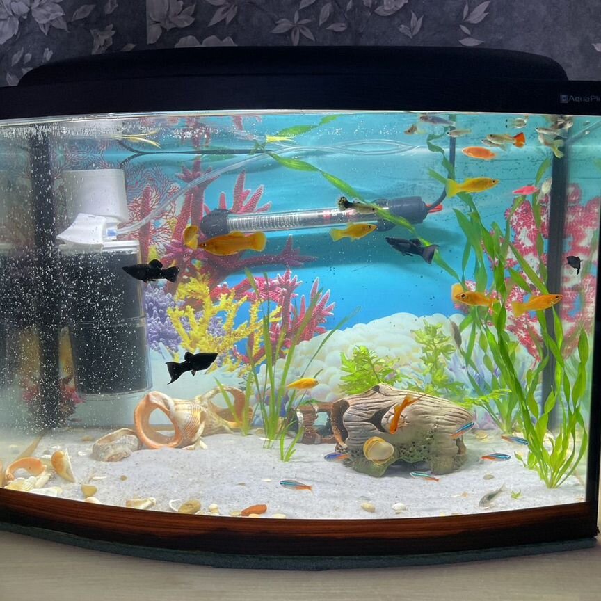 Продам аквариум