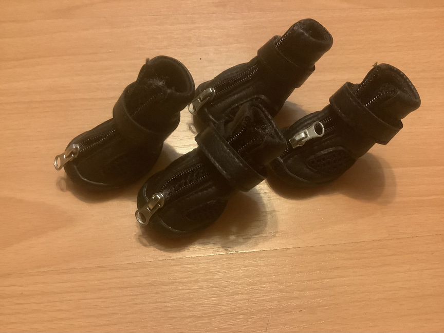 Обувь для собак мелких пород