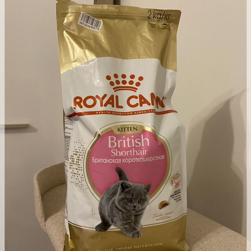 Сухой корм для котят royal canin