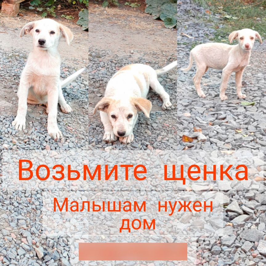 Малышам нужен дом Помогите найти им семью