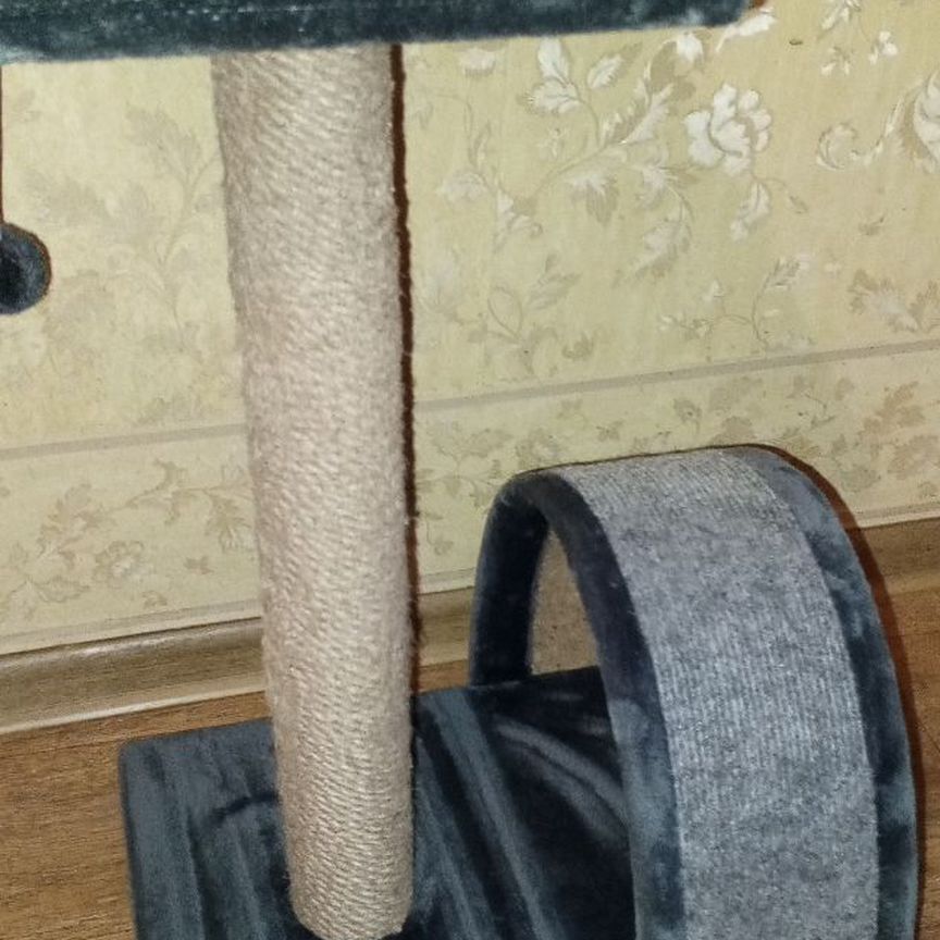 Когтеточка