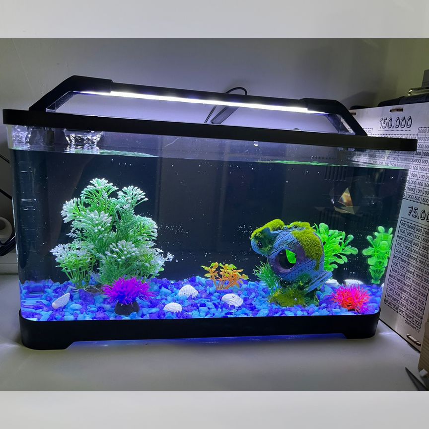 Аквариум 14л