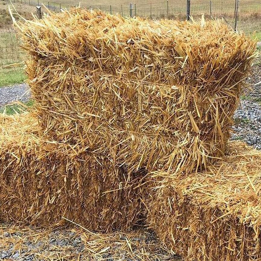 Солома в тюках
