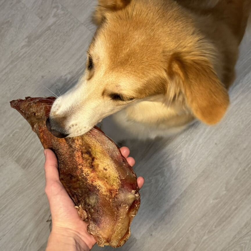 Лакомство для собак "Лопаточный хрящ" 500гр