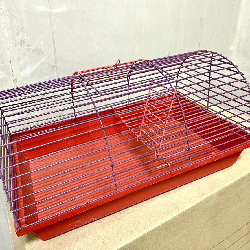 Клетка для грызунов бесплатно отдам