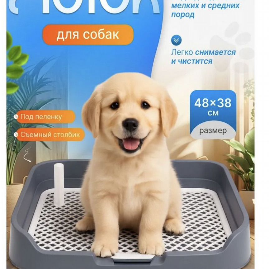 Лоток для собак 48х38