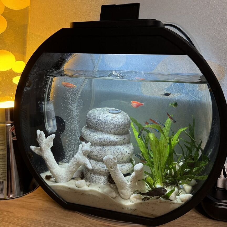 Аквариум Deco O Mini UPG, черный 10 л