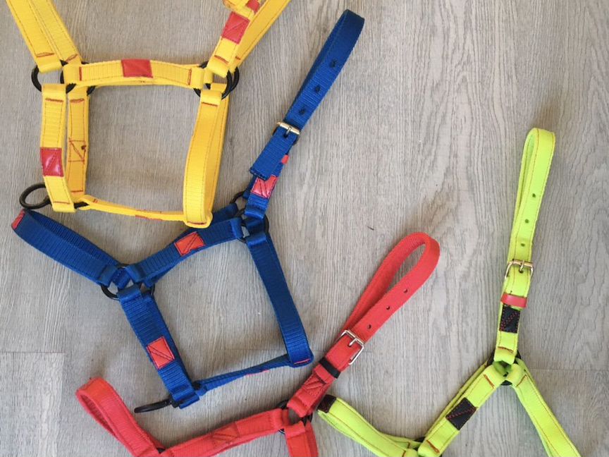 Недоуздок для лошади