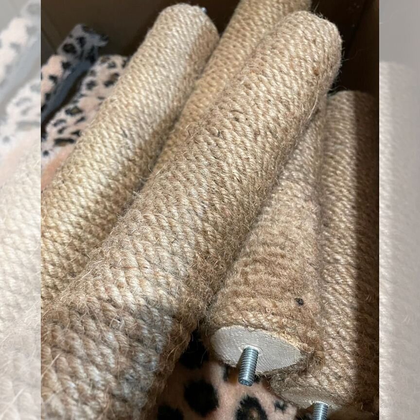 Когтеточка