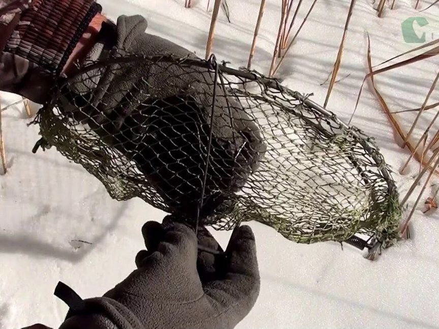 Лучок ловушка для птиц D32 (диаметр)